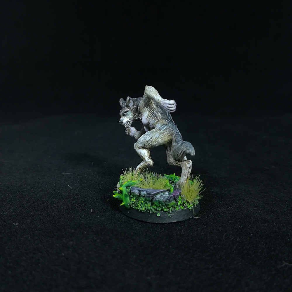 Painted DnD Miniature Female Werewolf - Frozen Fire Arts
